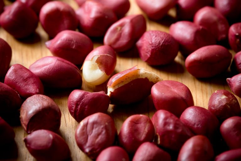 Brazilian peanut industry makes strides, focuses on quality - ANBA News ...