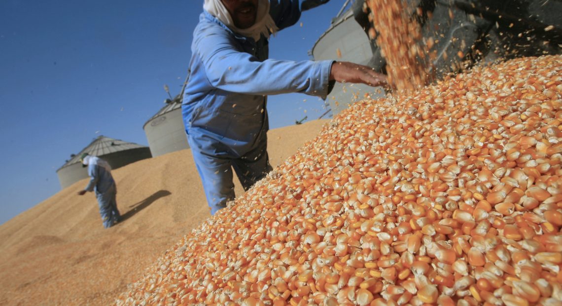 Egypt expanded grain storage capacity - Agência de Notícias Brasil-Árabe