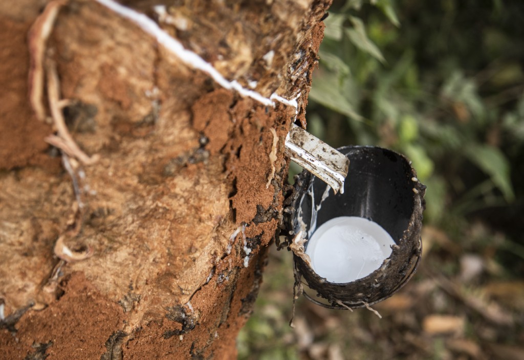 Alíquota para importar borracha sobe no Brasil - Agência de Notícias ...