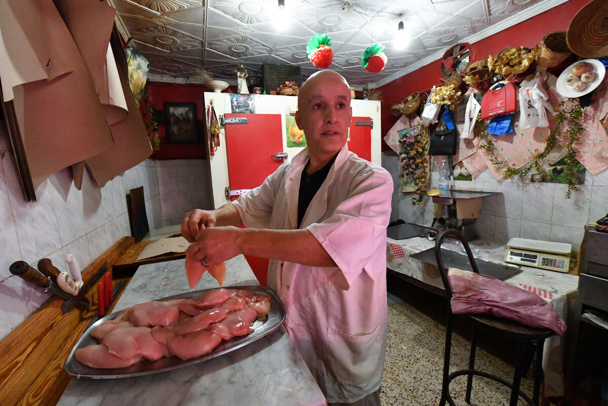 Argélia abre mercado para carne de frango halal do Brasil - Agência de ...