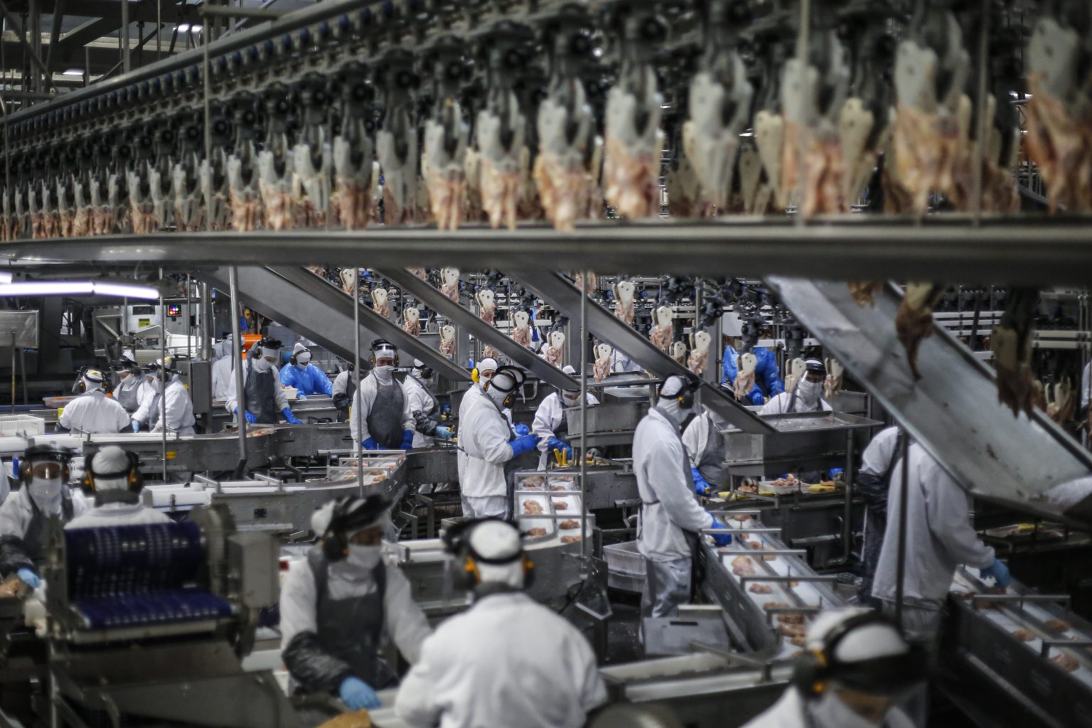 Brazil chicken exports hit new record in January