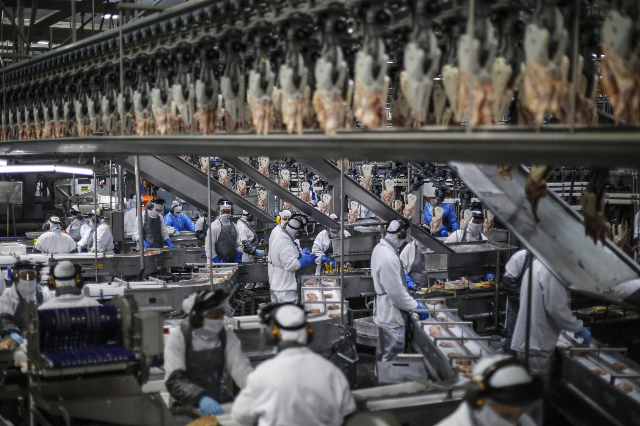 Brazil chicken exports hit new record in January