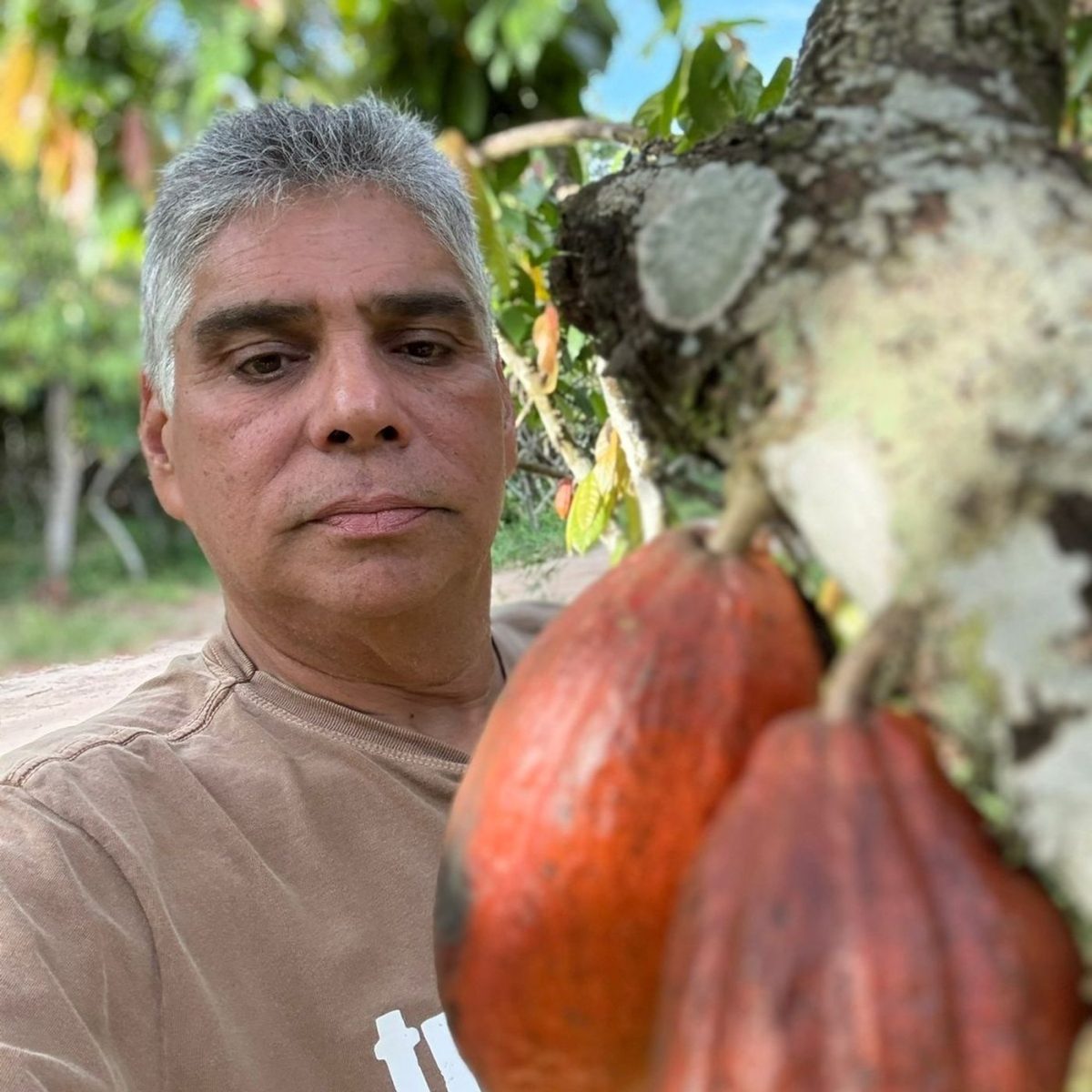 Agência de Notícias Brasil-Árabe - ANBA