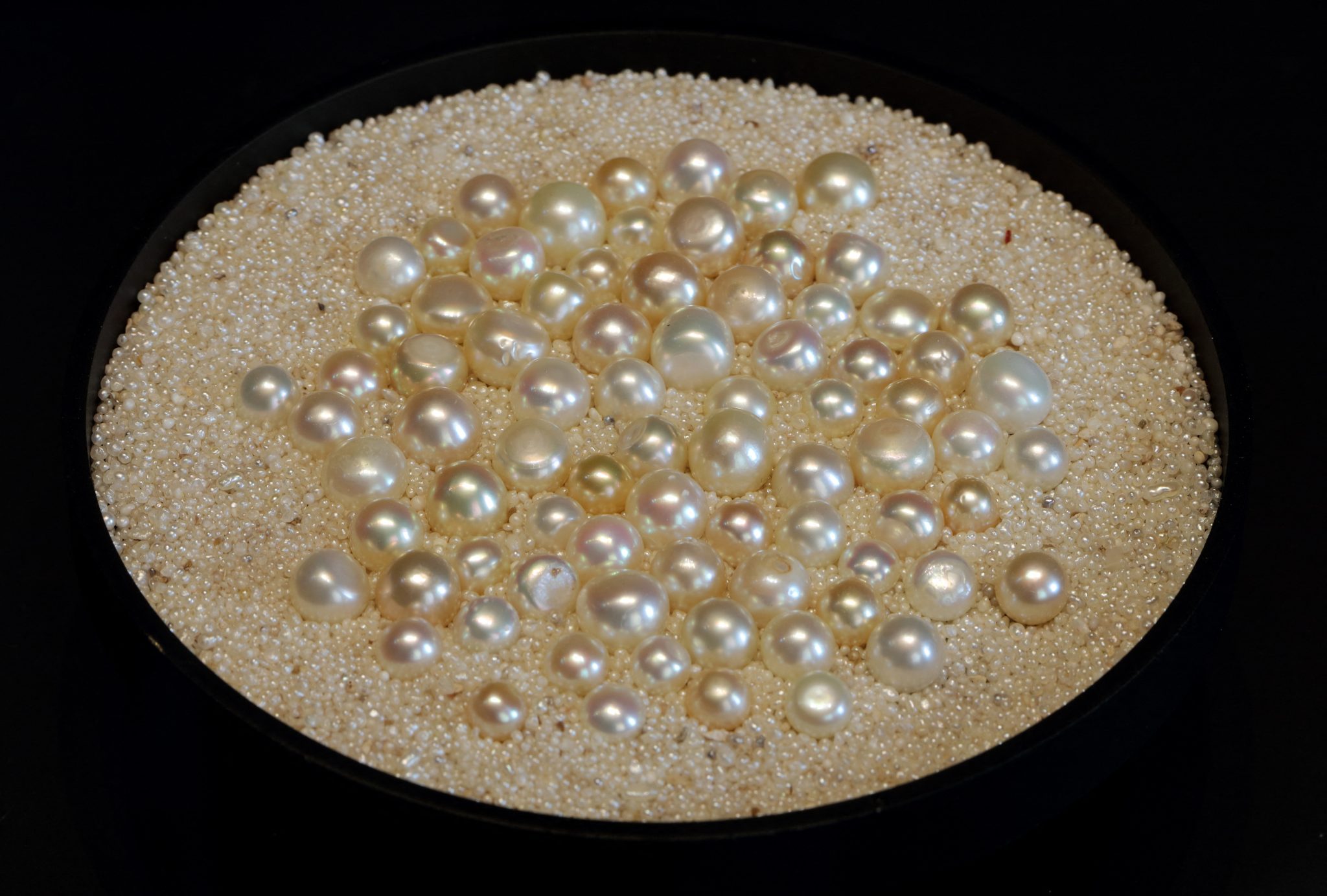 Bahrain trains pearl industry professionals