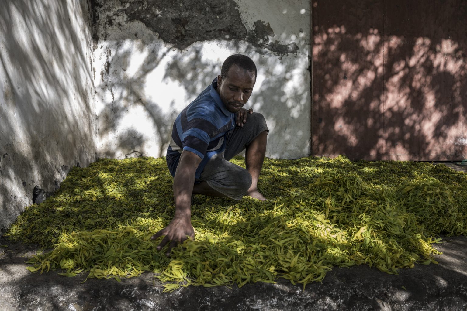 Comoros’ economy expected to grow 4.1% - ANBA News Agency