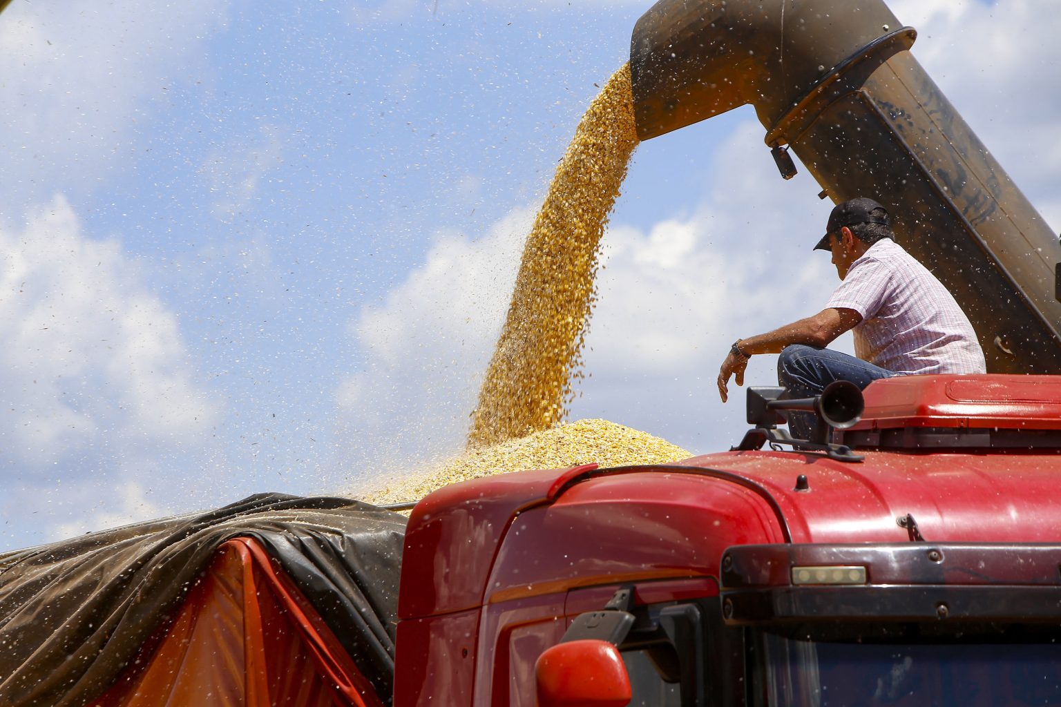 Brazil’s GDP grows 2.3% in 2025 - ANBA News Agency