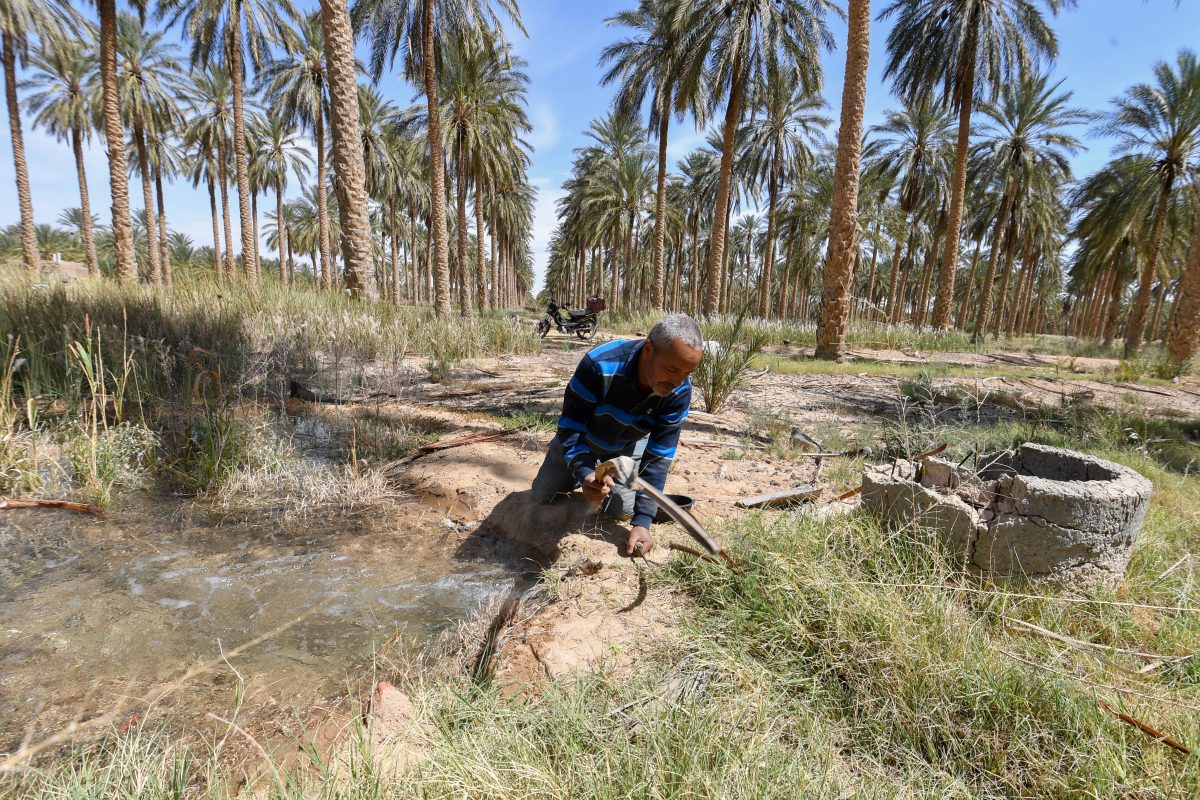 World Bank to finance projects in Tunisia - ANBA News Agency